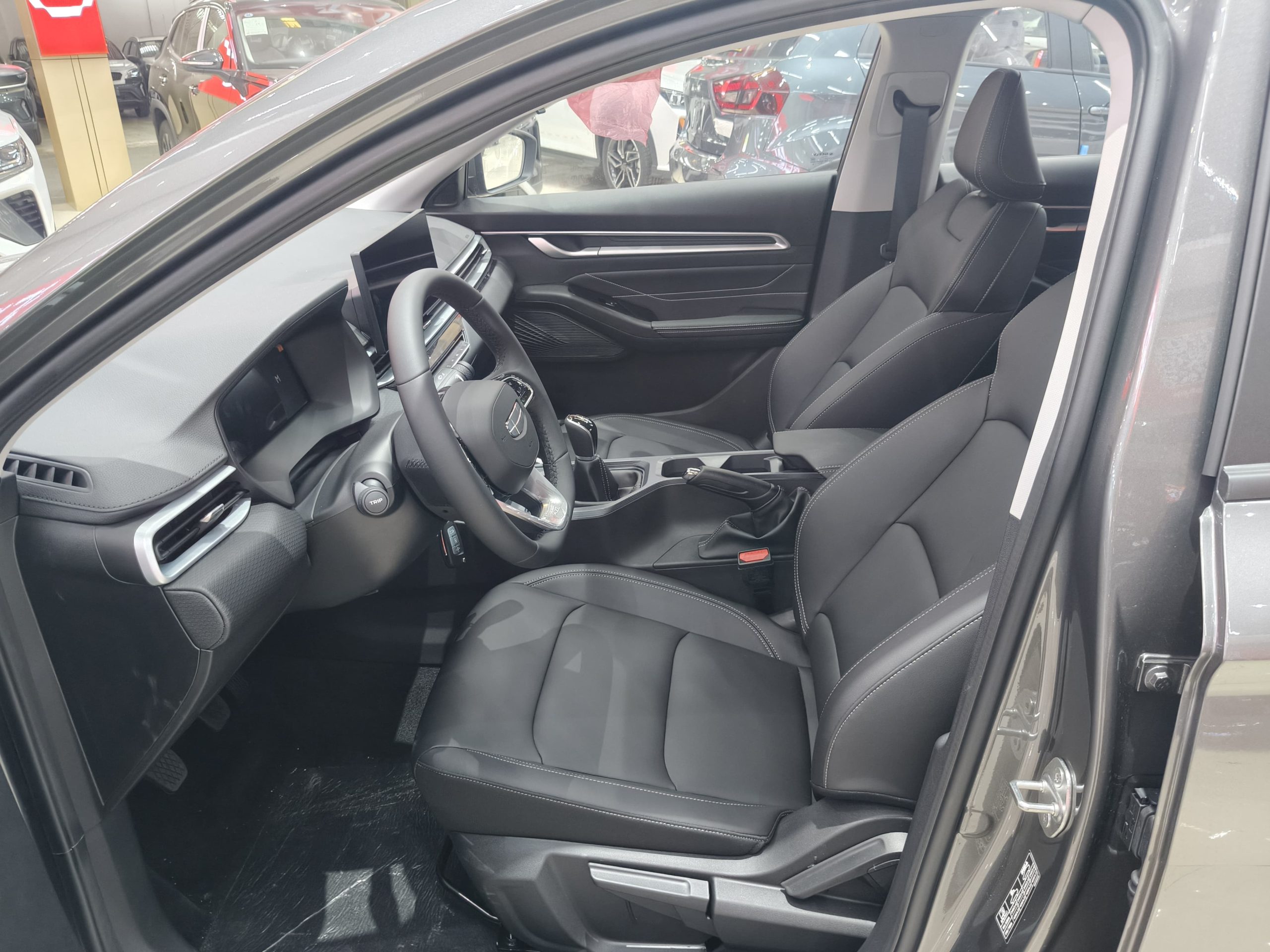 Emgrand Manual Grey 2026 - HSX Auto